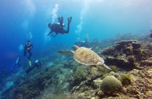 30 Scuba Diving Tips for Beginners