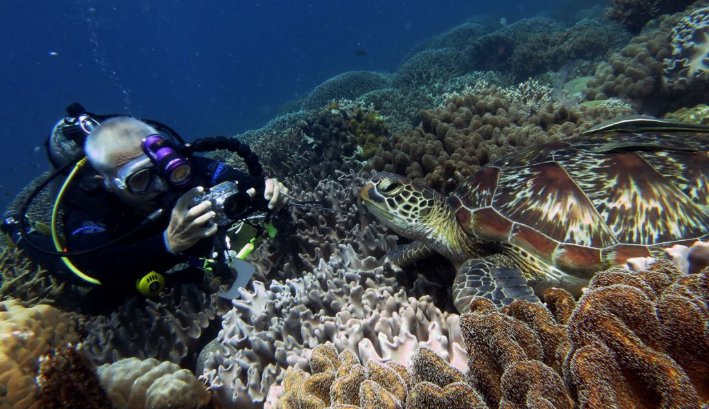 30 Scuba Diving Tips for Beginners